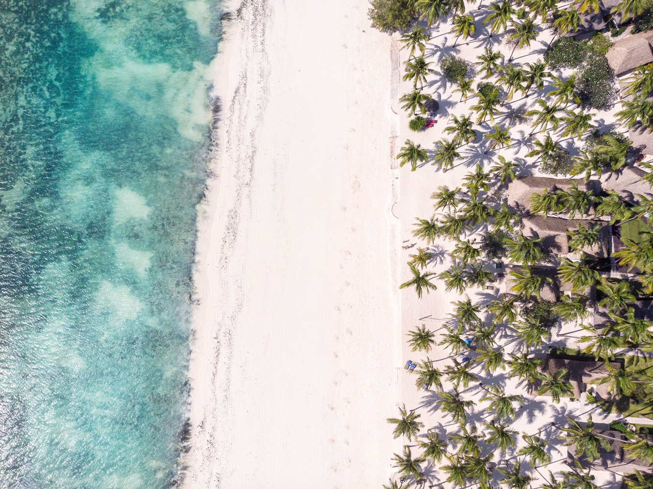 Karafuu Beach Resort & Spa - Fly Holidays